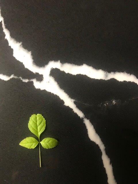 Jupiter Quartz - Mister Marble